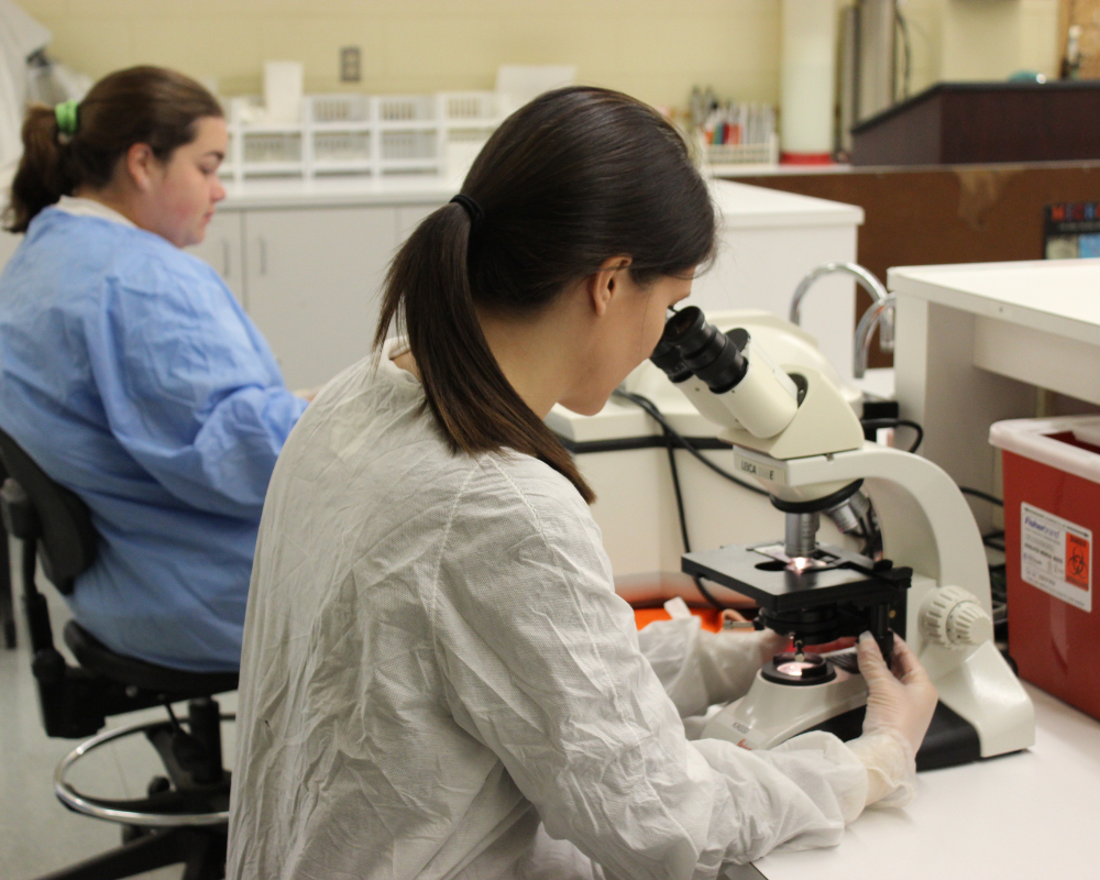 Medical Laboratory Technology | Southeastern Community College